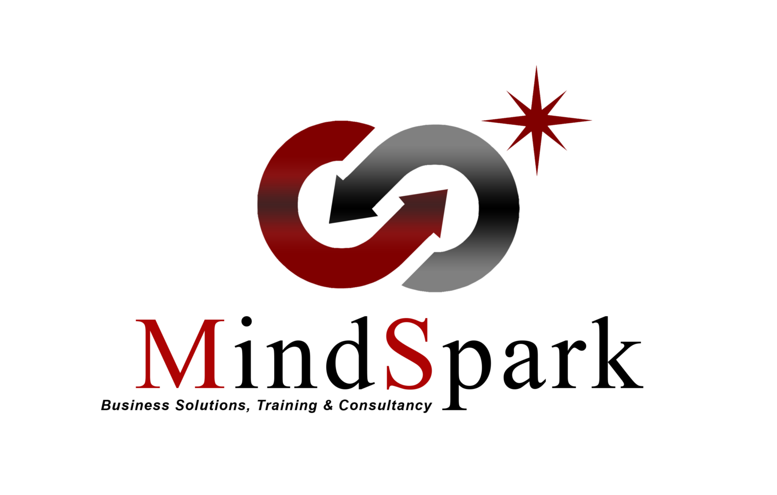 MindSpark – Business Solutions, Training & Consultancy