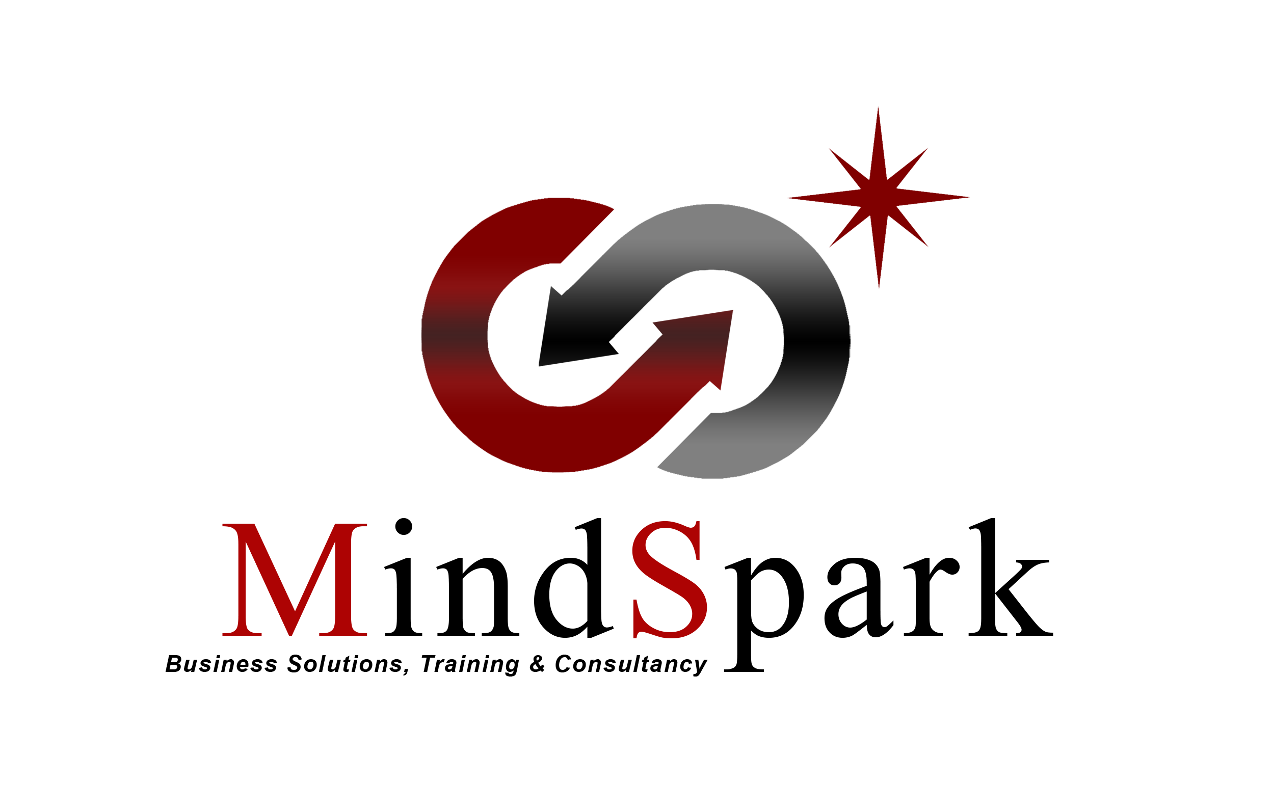 MindSpark – Business Solutions, Training & Consultancy
